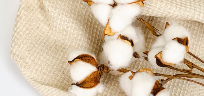 Le coton, un joli tissu de base
